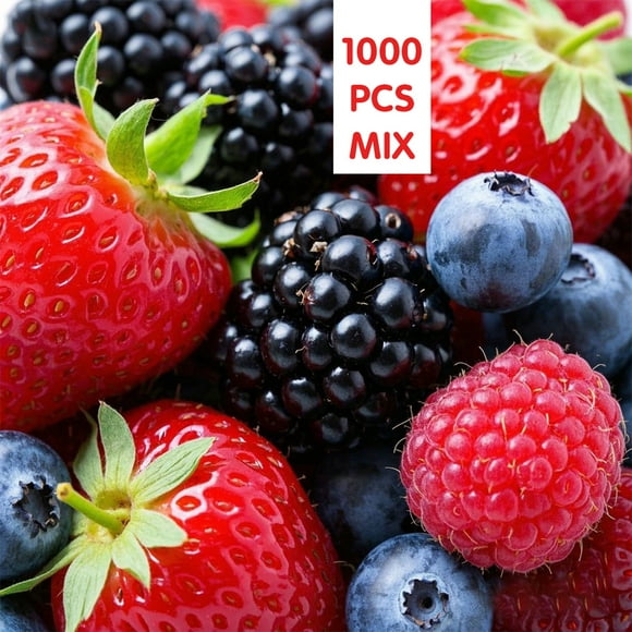 Blueberry Seeds in Seed Gardening - Walmart.com