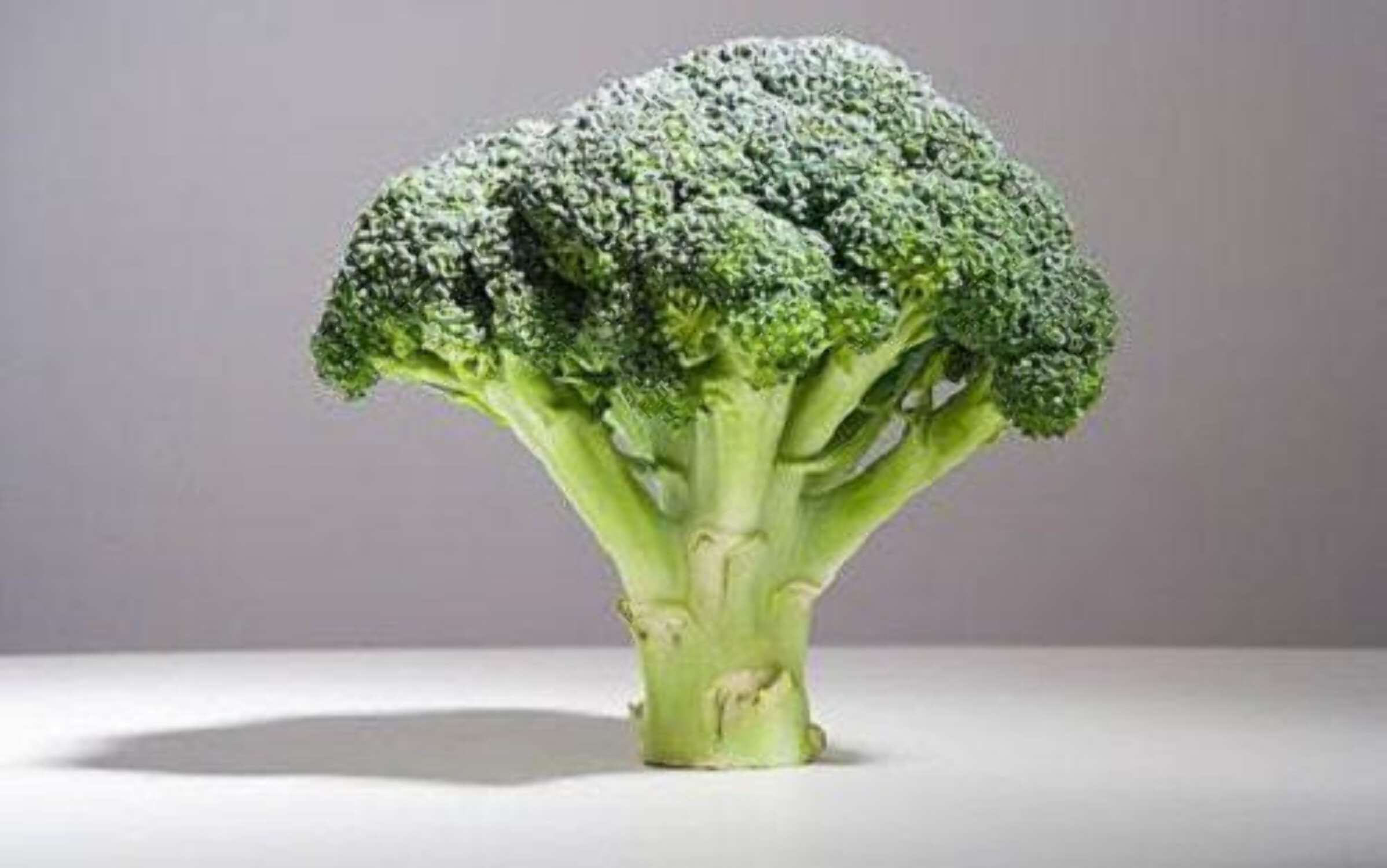 1000 Organic DE CICCO BROCCOLI Di Cicco Brassica Oleracea Capitata ...