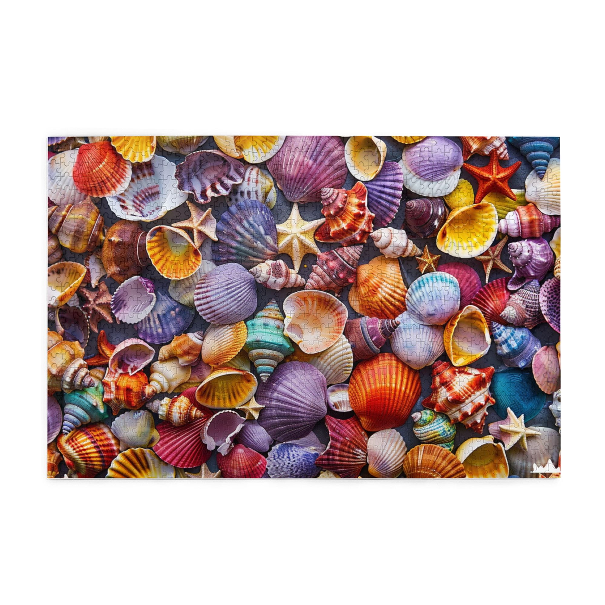 1000 PCS Conch Scallop Jigsaw Puzzles 1000 Pieces,Funny Conch Scallop ...