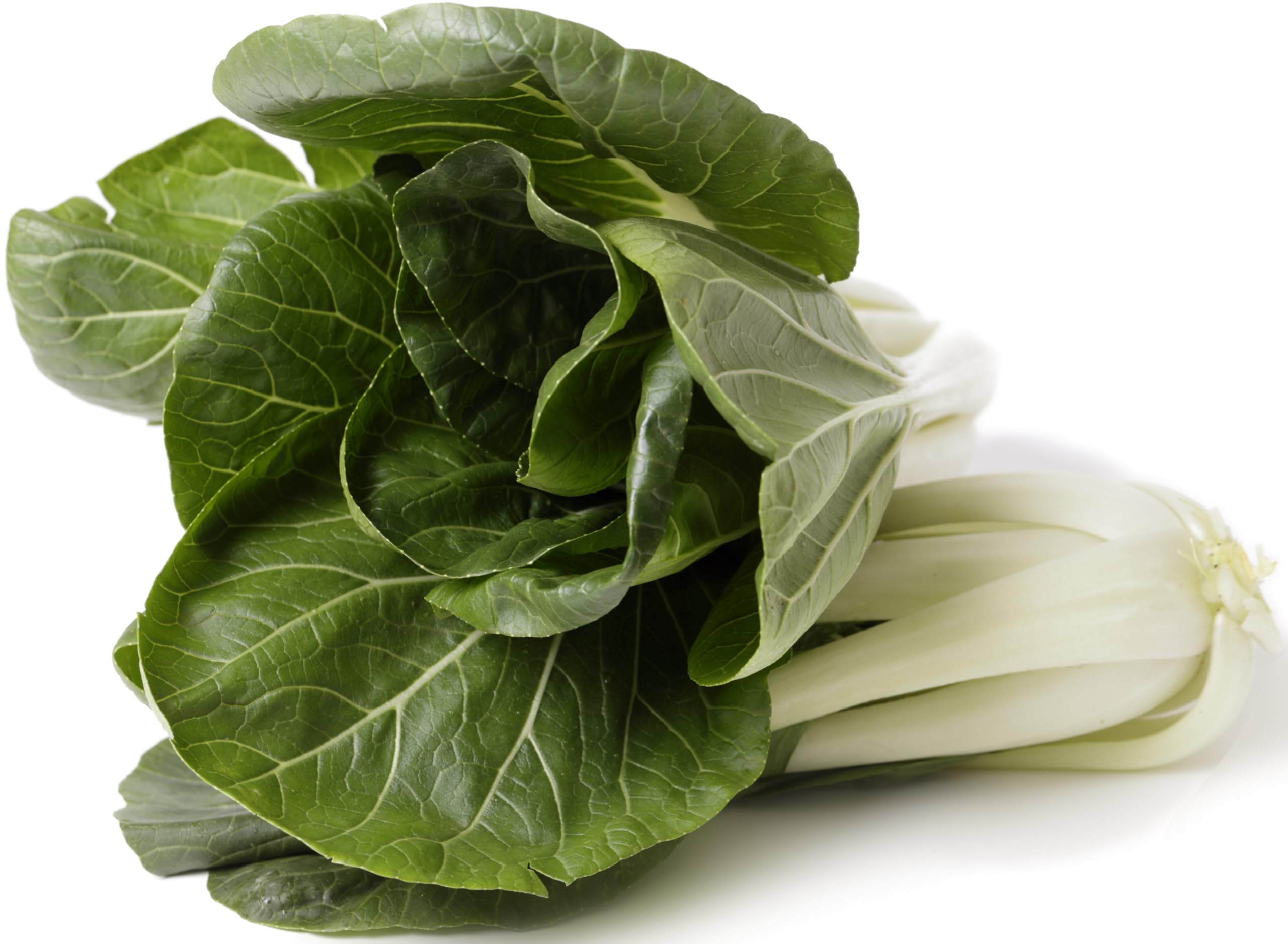 1000 Pak Choi Seeds for Planting BSL1 - 3+ Grams - White Stem ...