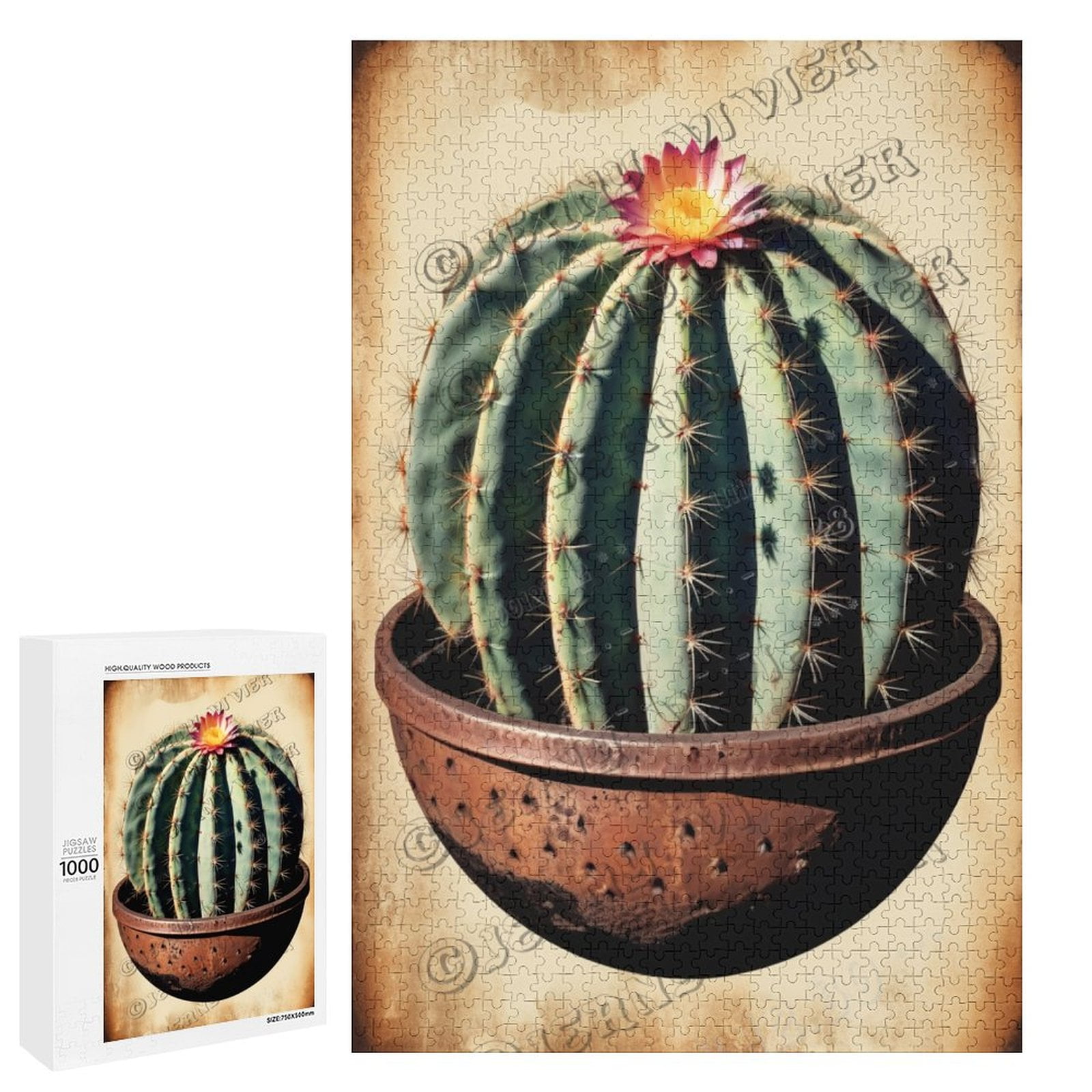1000 Piece Jigsaw Puzzle for Adults – Stunning Cactus & Succulents ...