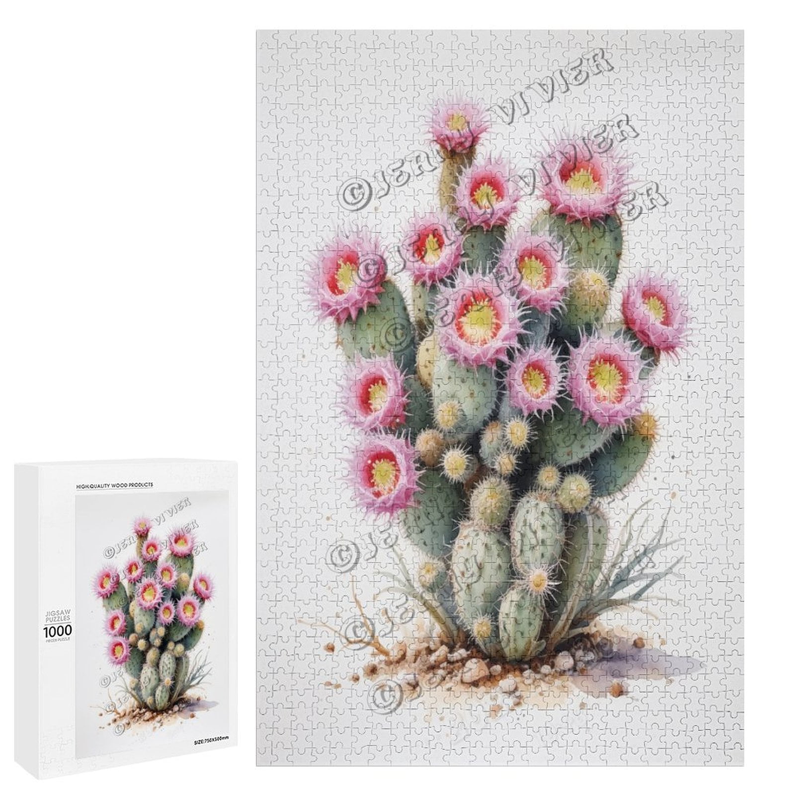 1000 Piece Jigsaw Puzzle – Cactus Decor Mammillaria for Adults – Stress ...
