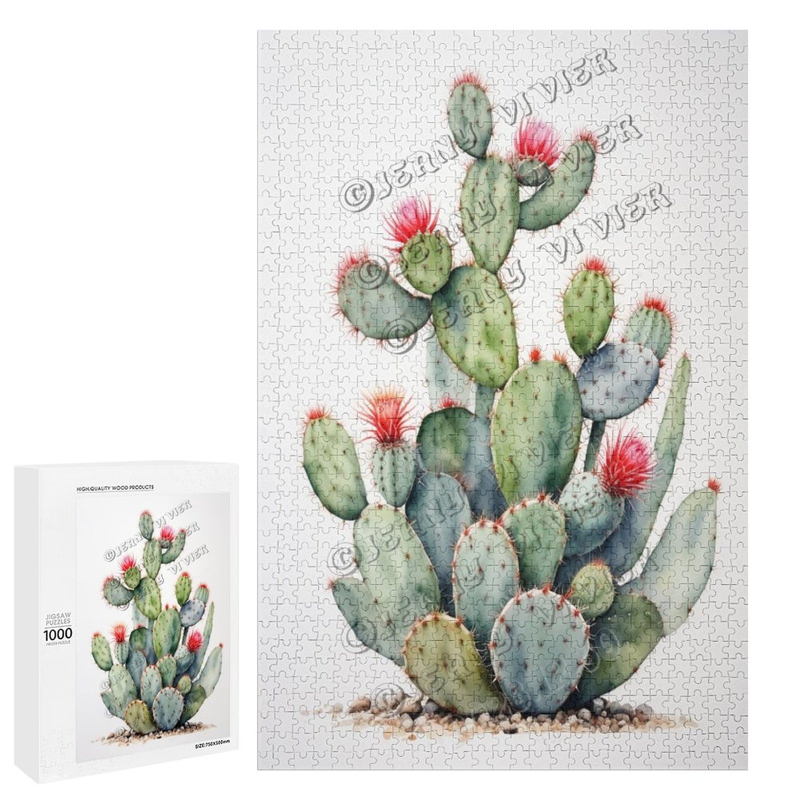 1000 Piece Jigsaw Puzzle – Cactus Decor Sclerocactus Design for Adults ...