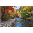 1000 Piece Jigsaw Puzzle, Forest Nature Landscape Scenic Art ...