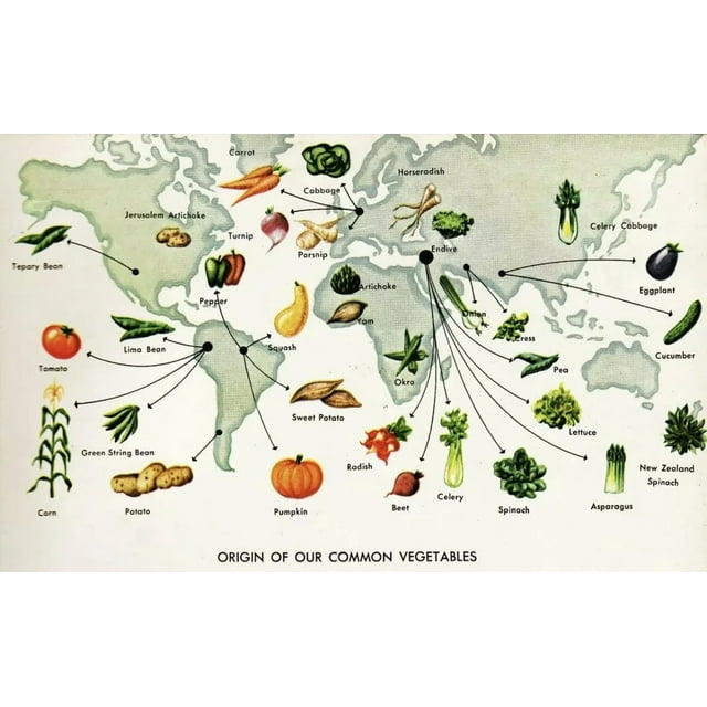 1000 Piece Jigsaw Puzzle Vegetables Of Origin Map School Supplies ...
