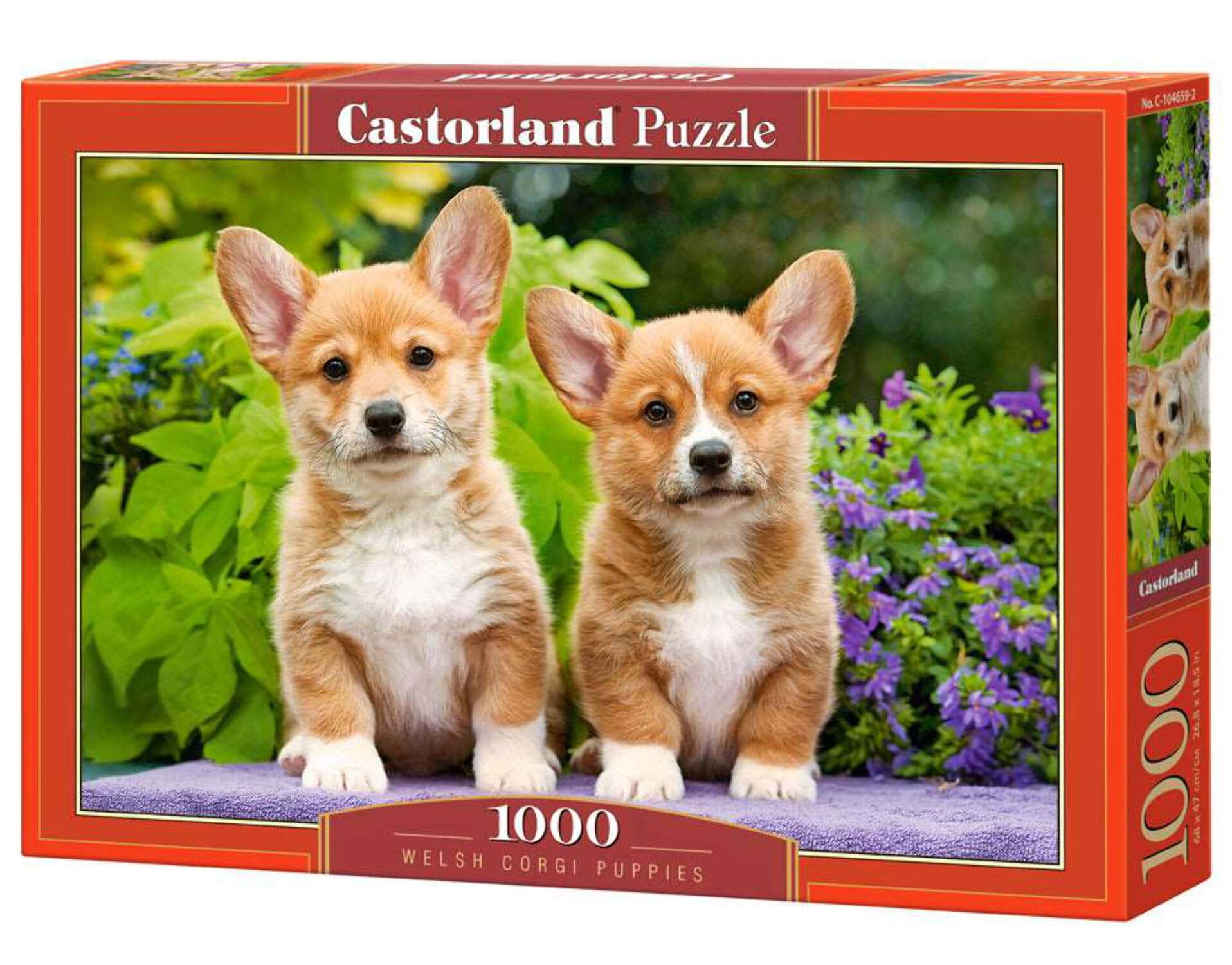 CASTORLAND Adult 1000 Piece Jigsaw Puzzle - Welsh Corgi Puppies, Dog ...