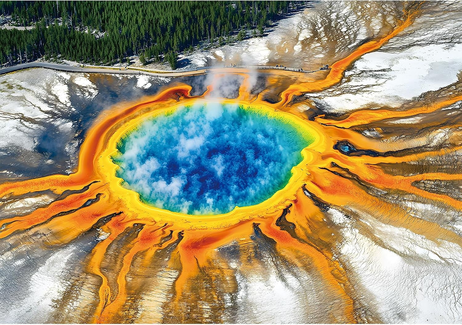 1000 Piece Jigsaw Puzzle for Adults – Grand Prismatic Spring ...