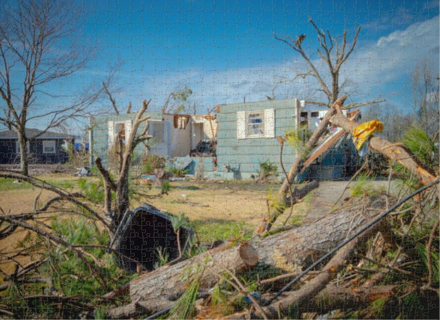 1000 Piece Puzzle for Adults Jigsaw Puzzles Tornadochallenging Family ...
