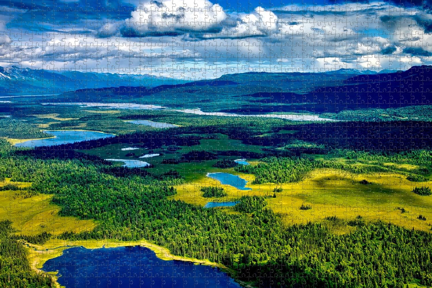 1000 Pieces Jigsaw Puzzle for Adults Alaska Denali National Park USA ...