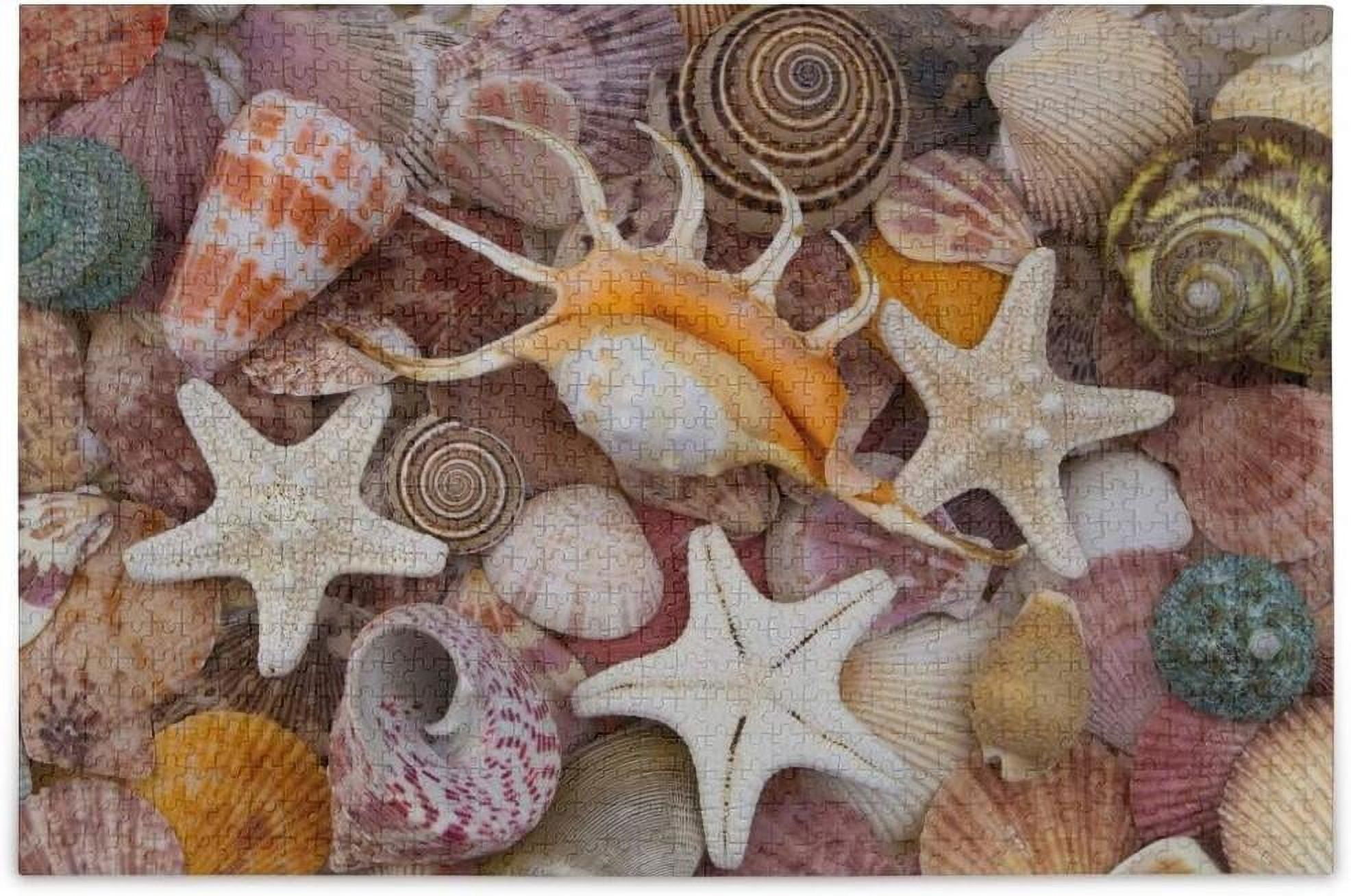 1000 Pieces Jigsaw Puzzle Seashells Wooden Puzzle for Adults, Fun ...