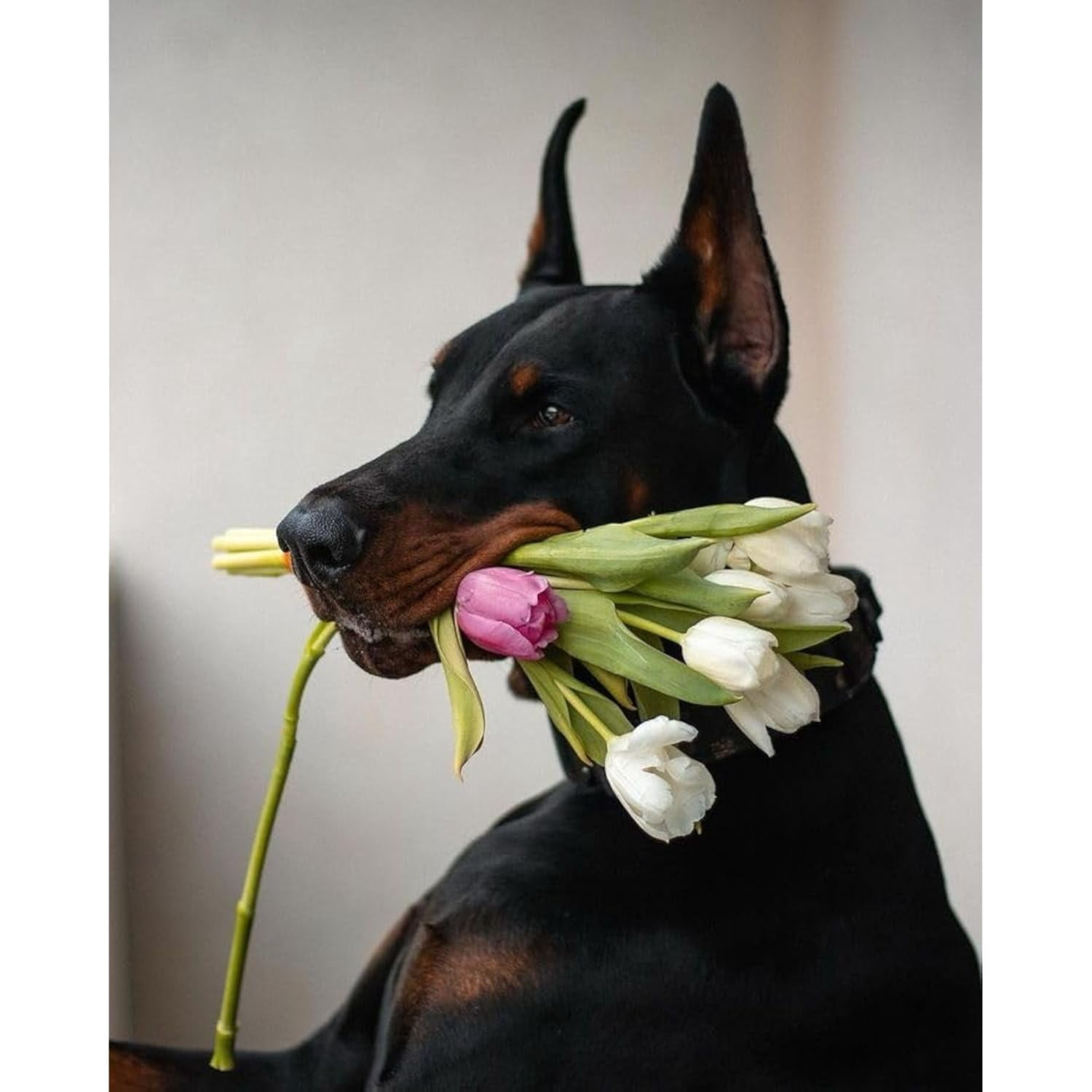 1000 Pieces Wooden Jigsaw Puzzle Black and White Doberman Portrait Fun ...