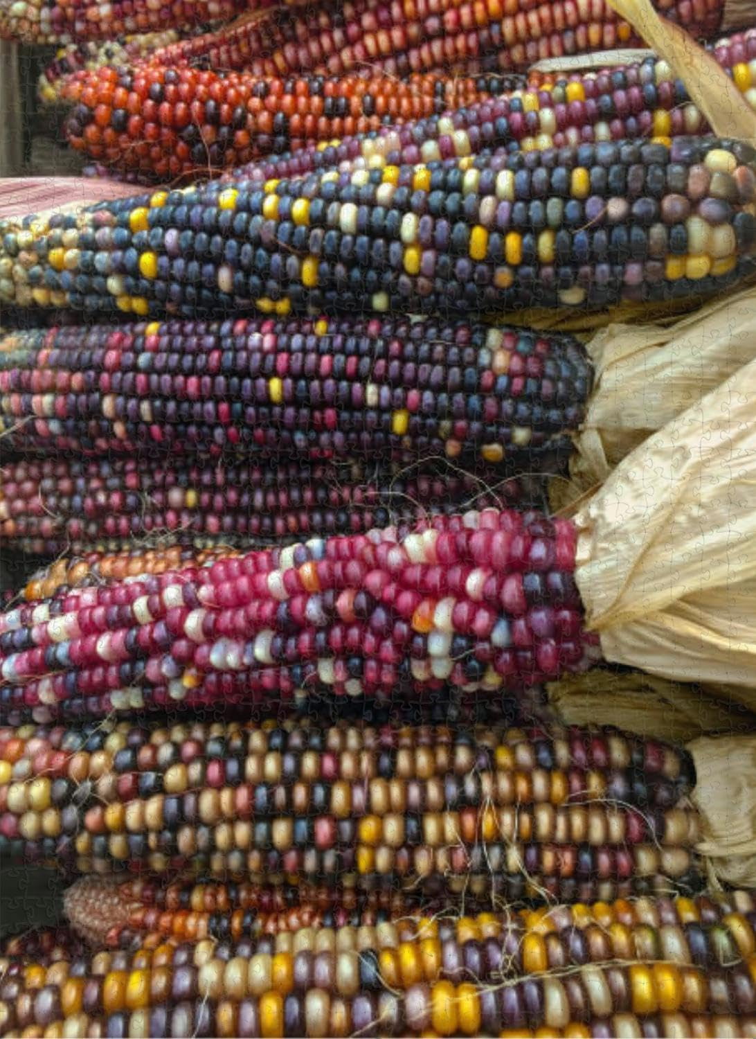 1000 Pieces Wooden Jigsaw Puzzle Colorful Indian Corn mas Stress Relief ...