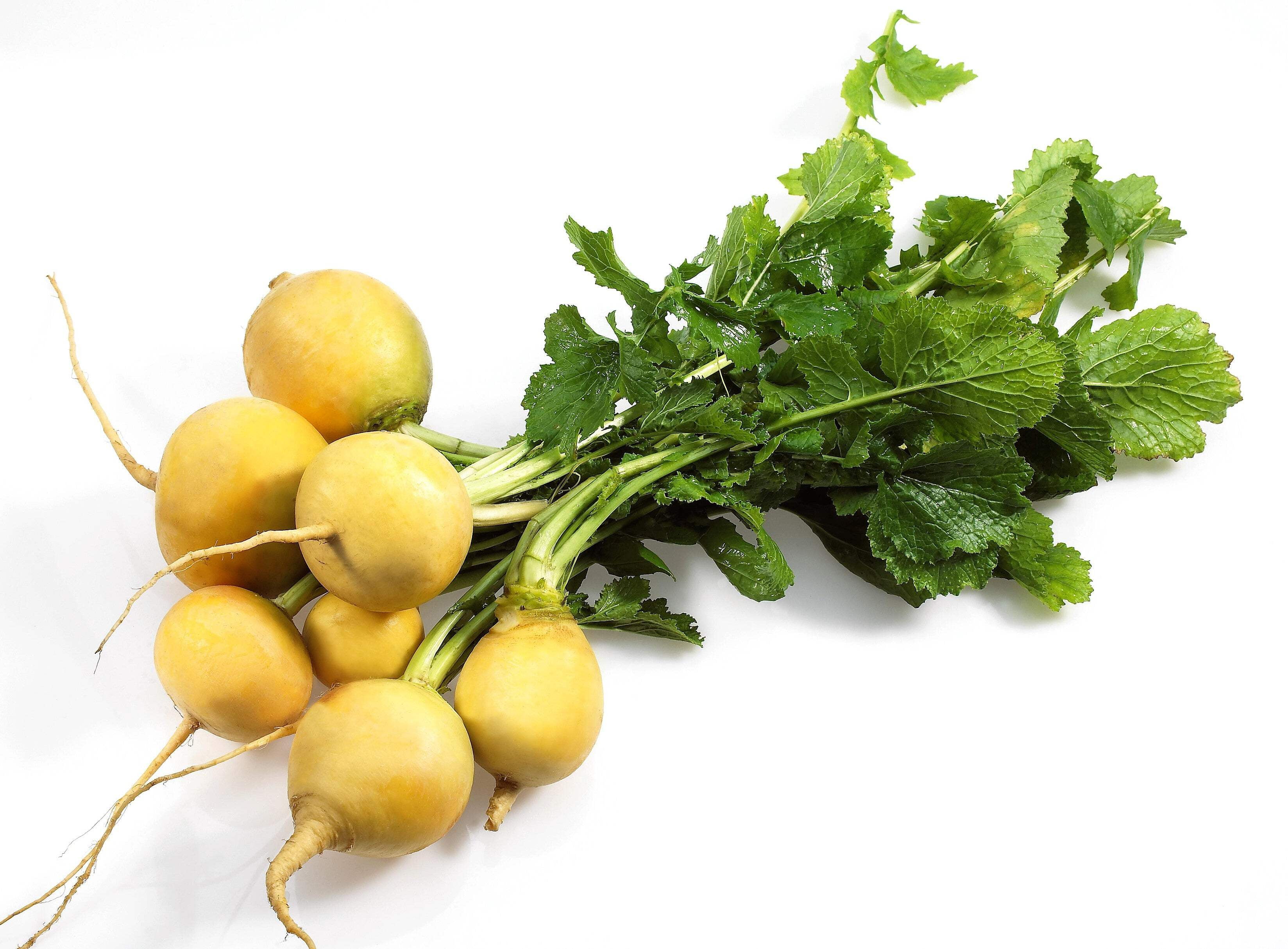 1000 Seeds GOLDEN BALL TURNIP Heirloom Yellow Brassica Rapa Root ...