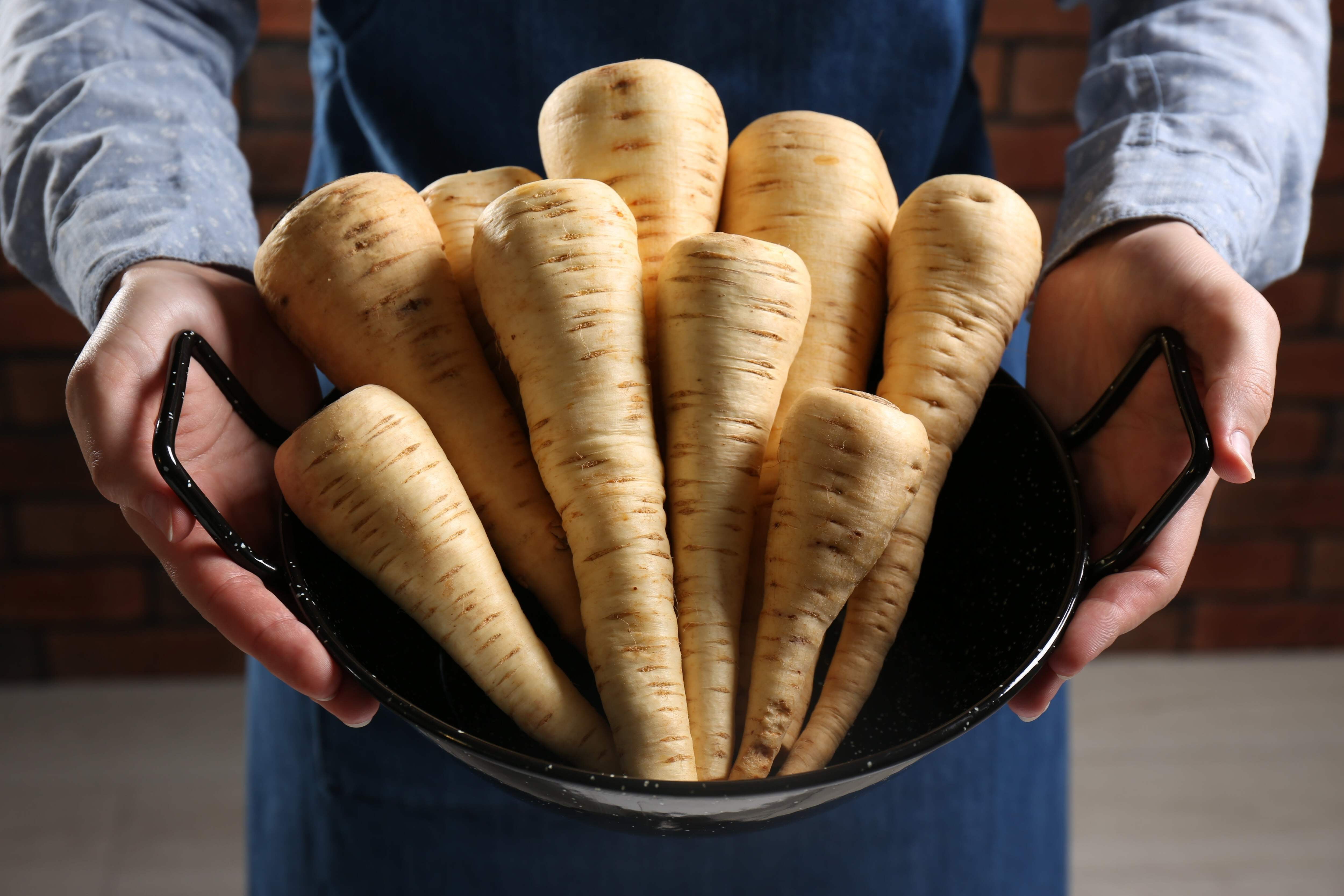 1000 Seeds PARSNIP Improved HOLLOW CROWN Pastinaca Sativa White Root ...