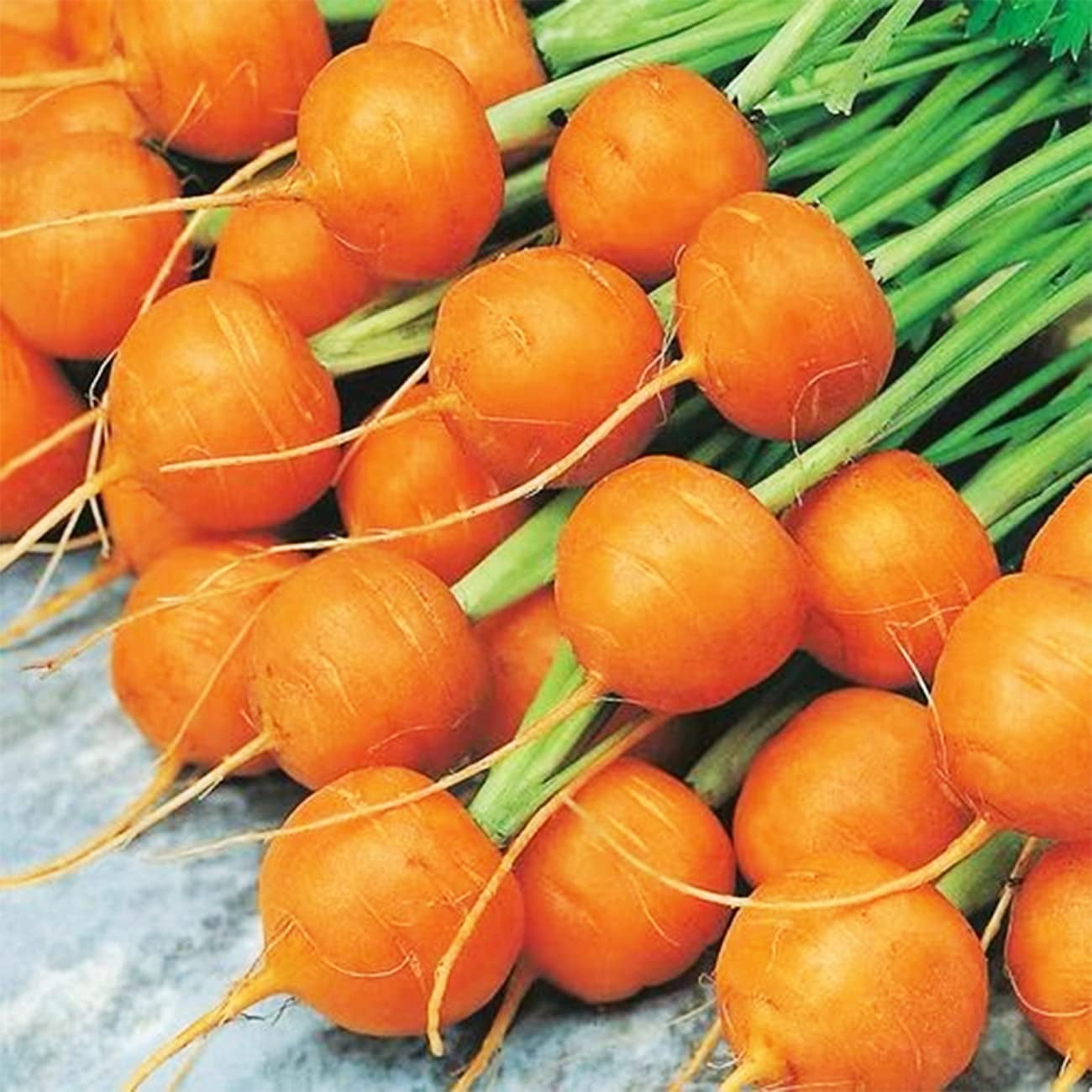 1000+ Seeds Round Baby Parisian Carrots Seeds A Delicacy Prised by ...