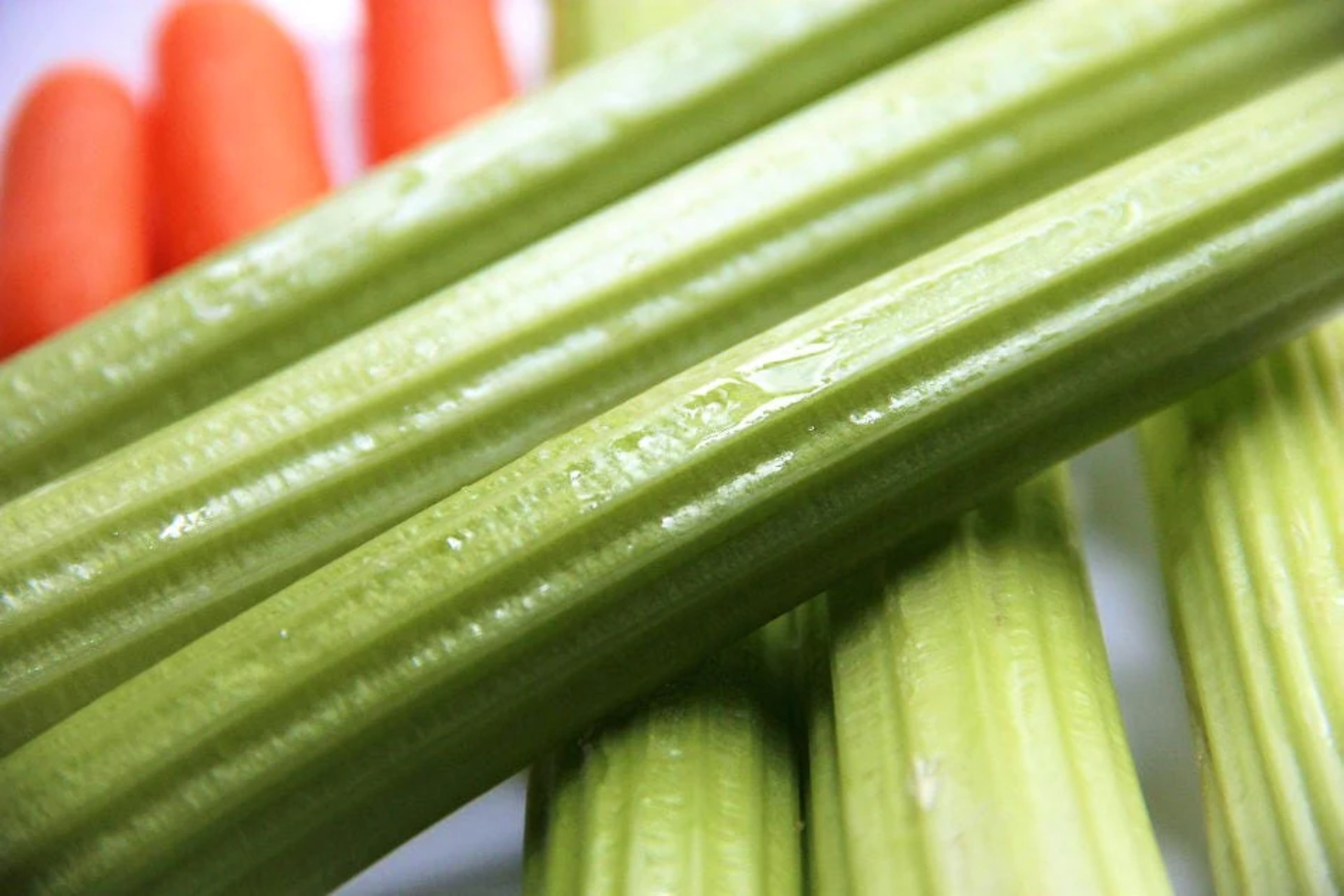 Seedville Tendercrisp 1000 Celery Plant Seeds, Disease Resistant ...