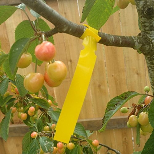 1000 Wrap Around Tree Labels 9" x 1" Thermal Plastic Tree Tags Plant ...