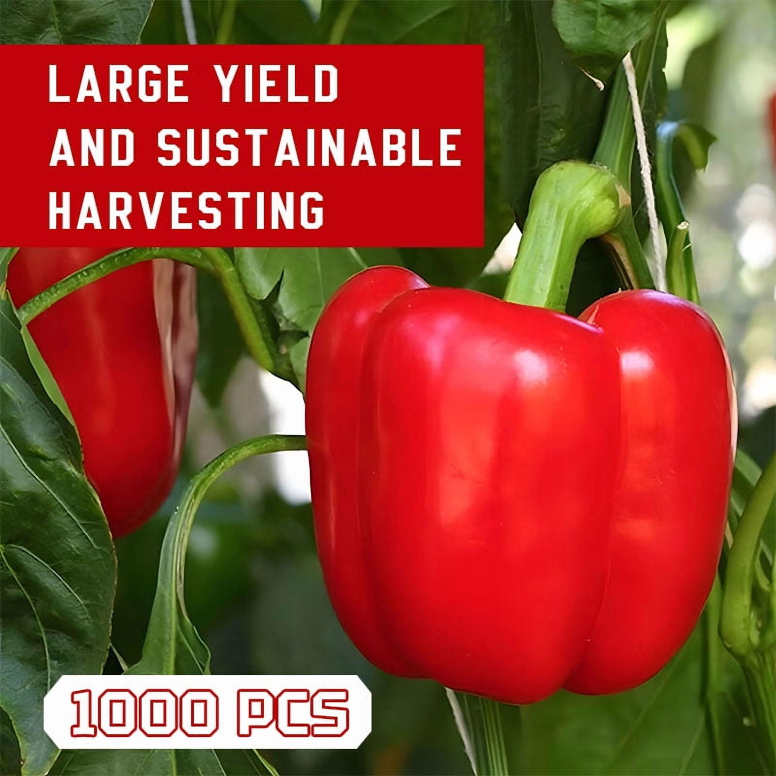 1000Pcs Space Pepper Seeds for Planting, Heirloom Non-GMO Pepper Seeds ...