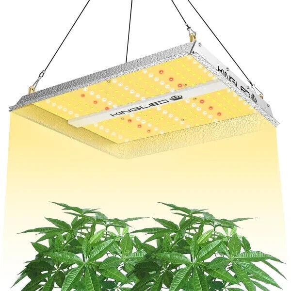 1000W Full Spectrum Quantum Board Professional LED Grow Light For All ...