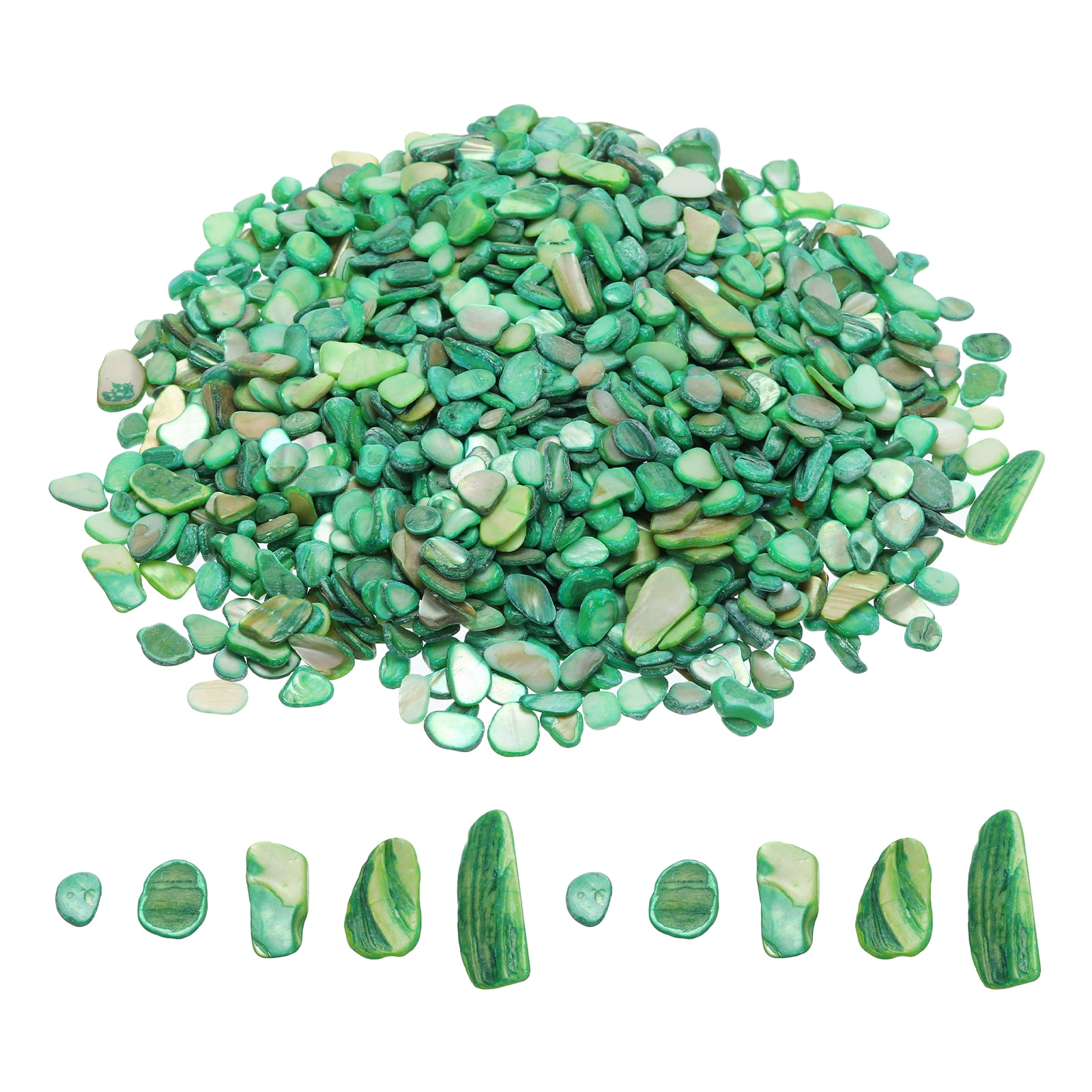 1000g Crushed Shells Irregular Natural Mosaic Sea Shell Fragments for ...