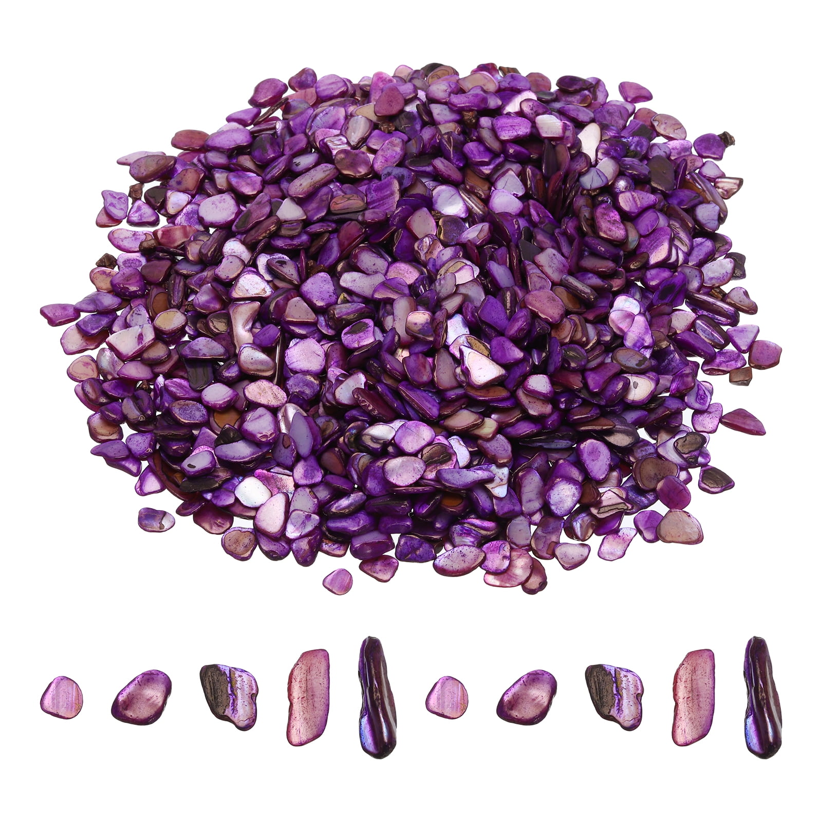 1000g Crushed Shells Irregular Natural Mosaic Sea Shell Fragments for ...