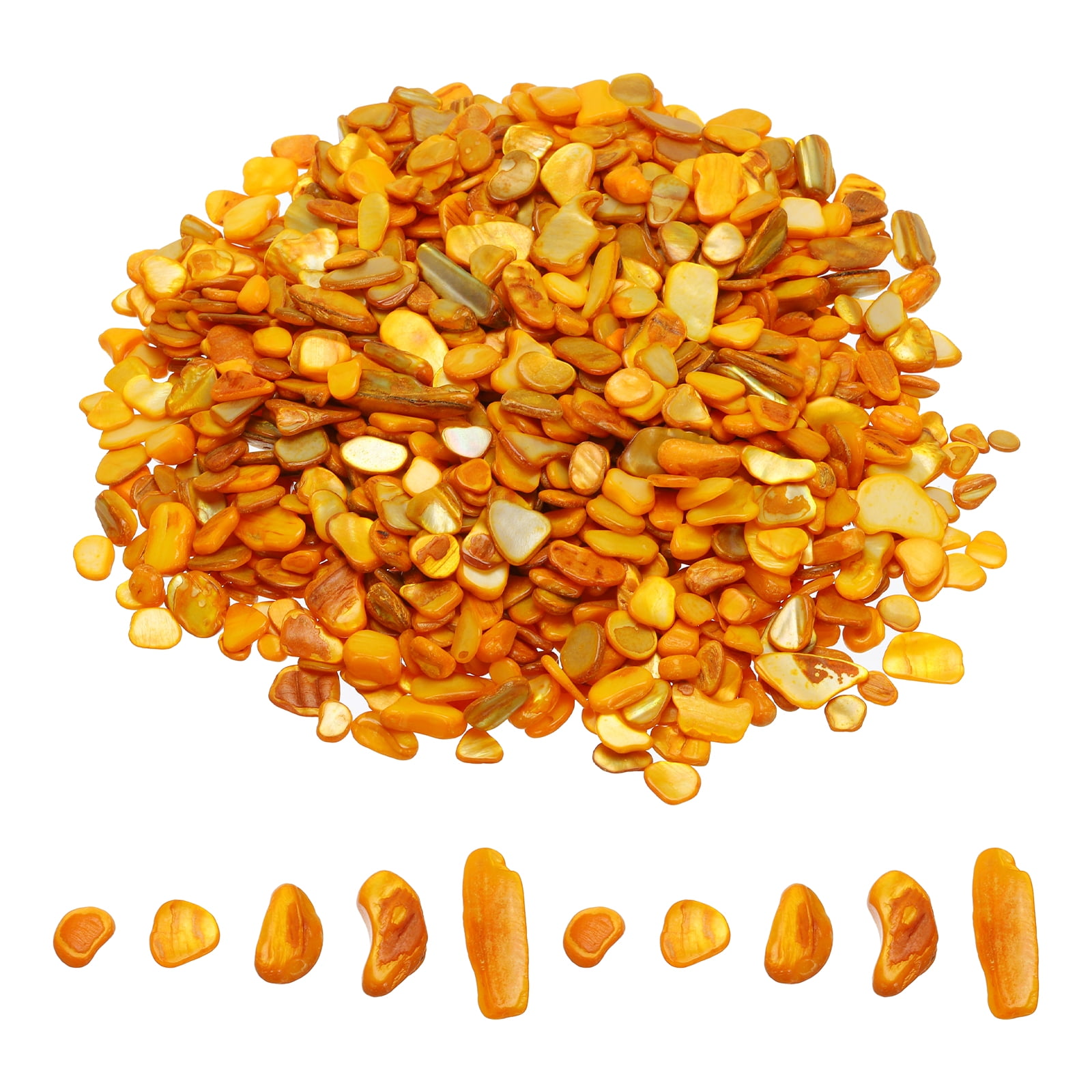 1000g Crushed Shells Irregular Natural Mosaic Sea Shell Fragments for ...