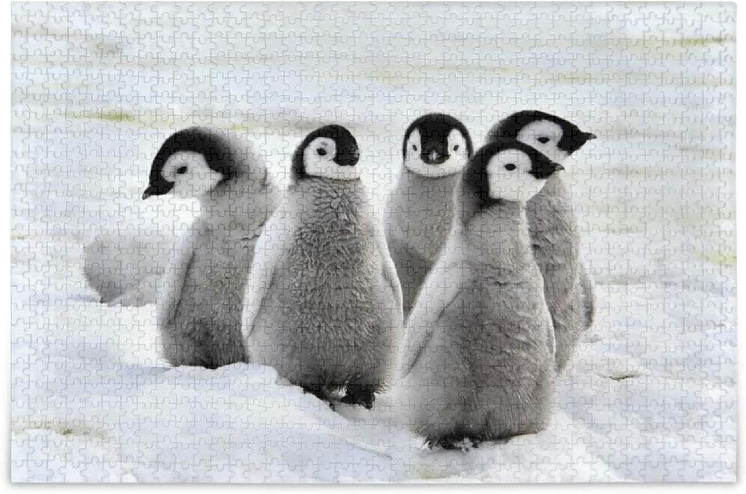 1000pieces Jigsaw Puzzles, 29.5" x 19.7" Emperor Penguin Adult Children ...