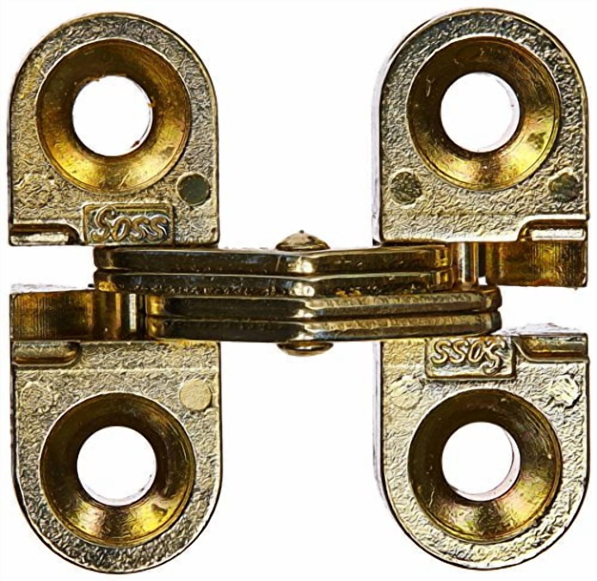 - 100CUS4 Mortise Mount Invisible Hinges with 4 Holes, Zinc, Satin ...