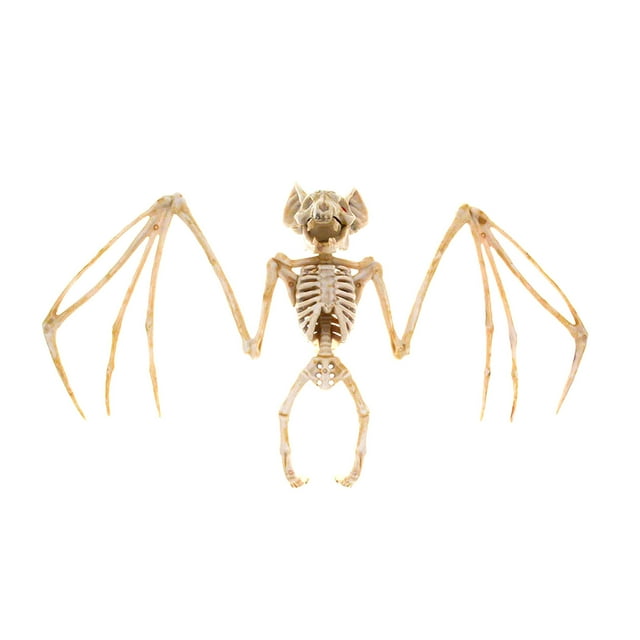 100Fens Simulation Skeleton Ghost HeadBone Model Bat Mice Mouse ...