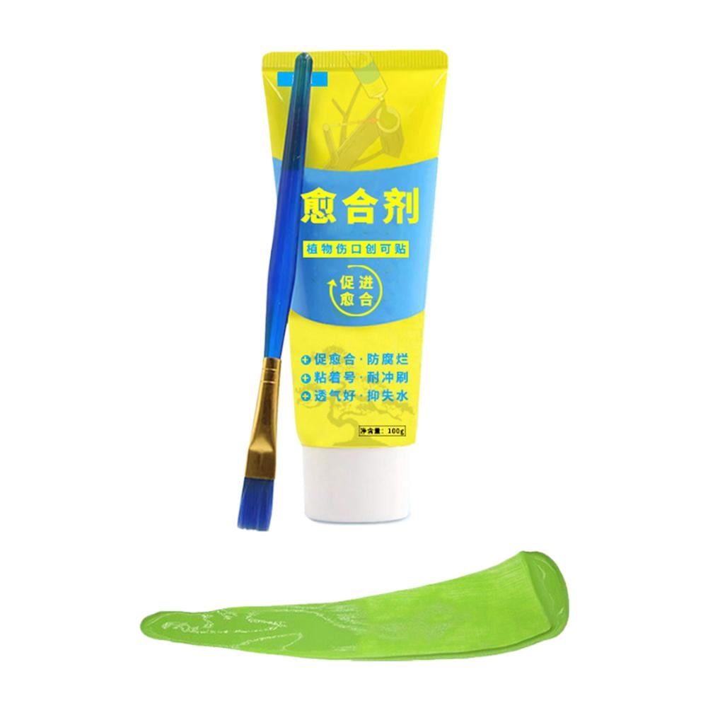 100G Healing Agent [Fruit Green] With Brush Plant Wound Healing Agent ...