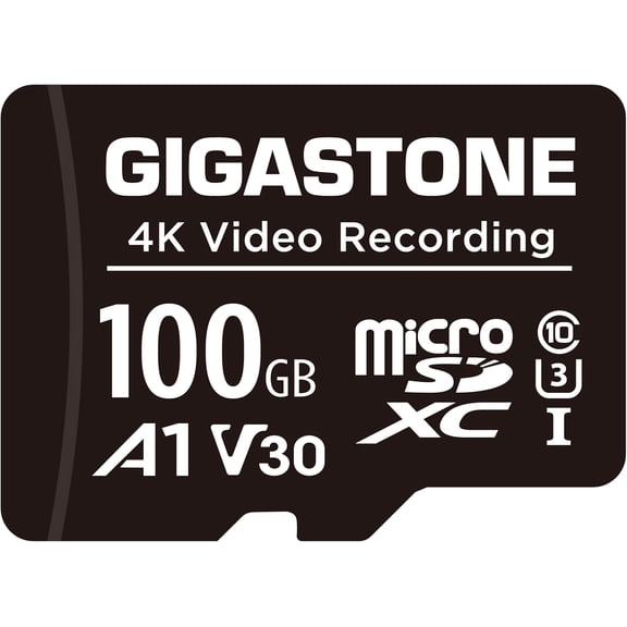 100 GB Memory Cards