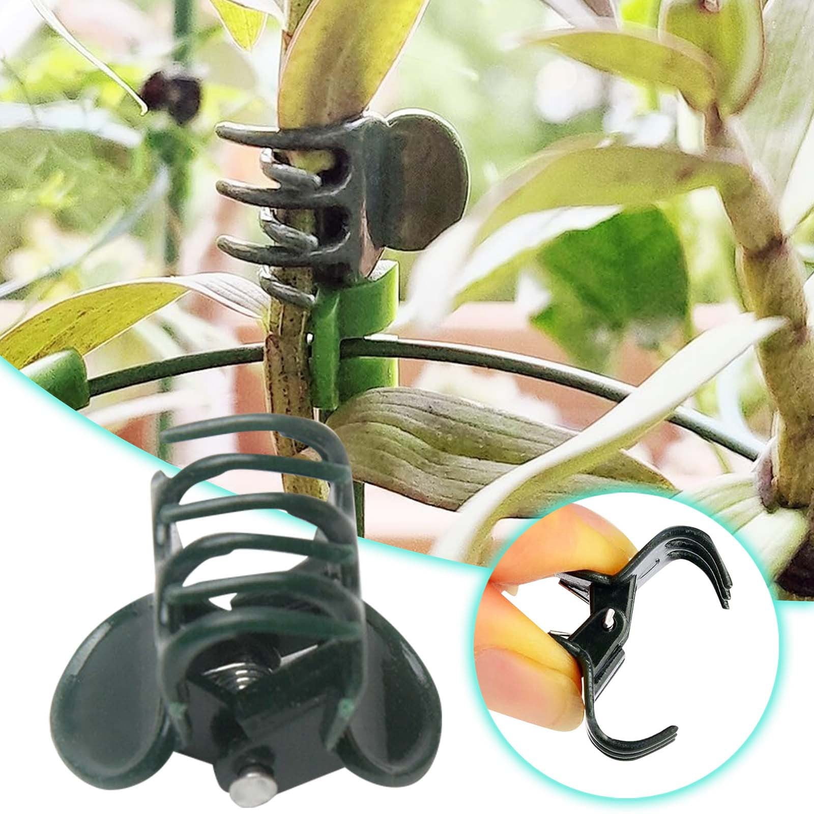 100PCS Clips For Climbing Orchid Clips Support Clips Secured Clips ...