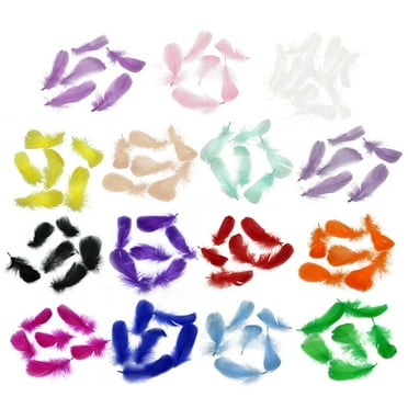Ballinger 240pcs 12 Styled Natural Feathers Assorted Mixed Feathers for ...