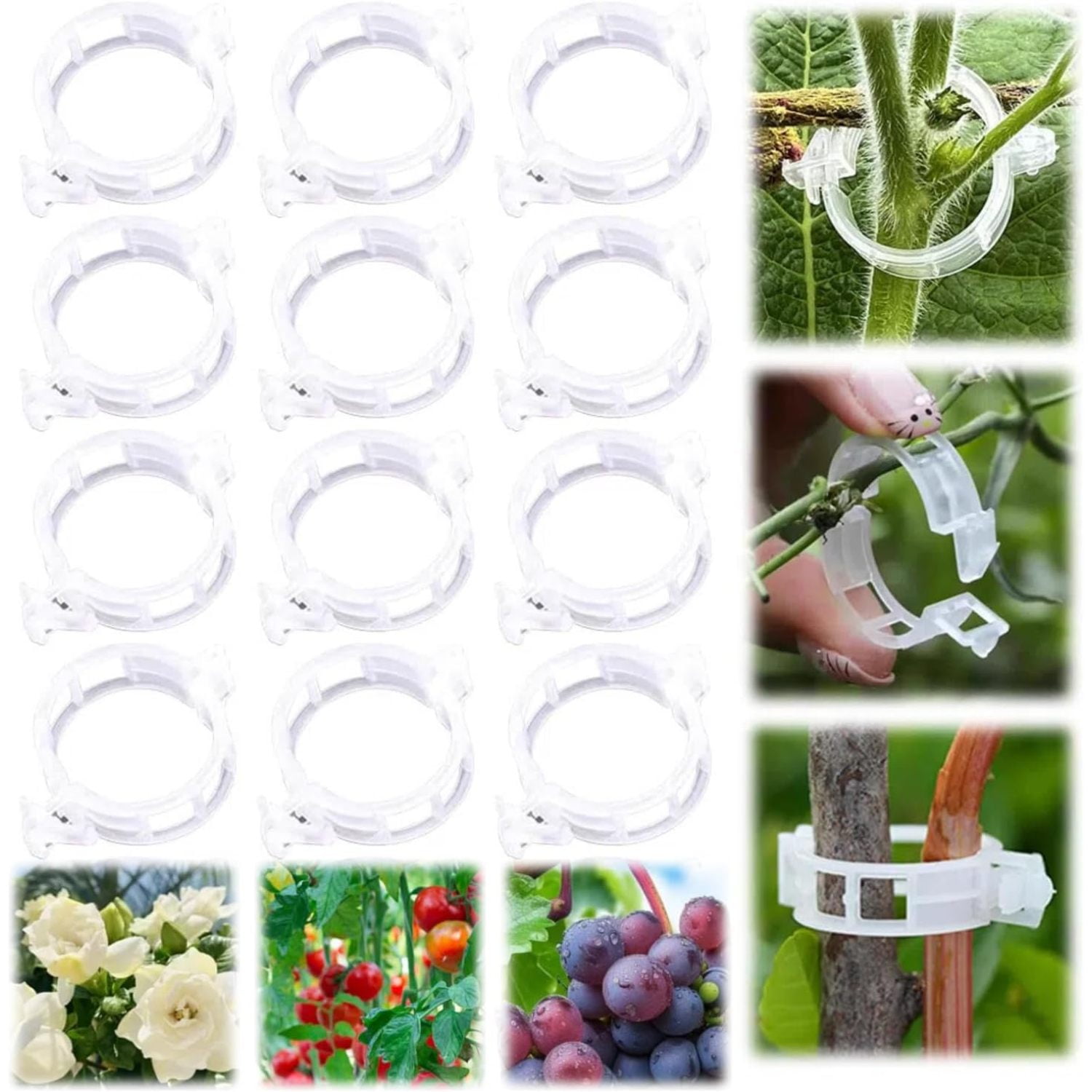 100Pcs 2025 Upgraded Plant Clip Secured Plastic Plant Clip for Climbing ...