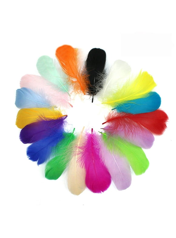 Craft Feathers in Basic Craft Supplies - Walmart.com