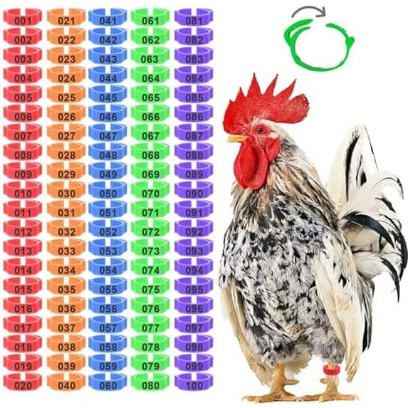 100Pcs Adjustable Chicken Leg Bands | 5 Color Chicken Leg Rings ...
