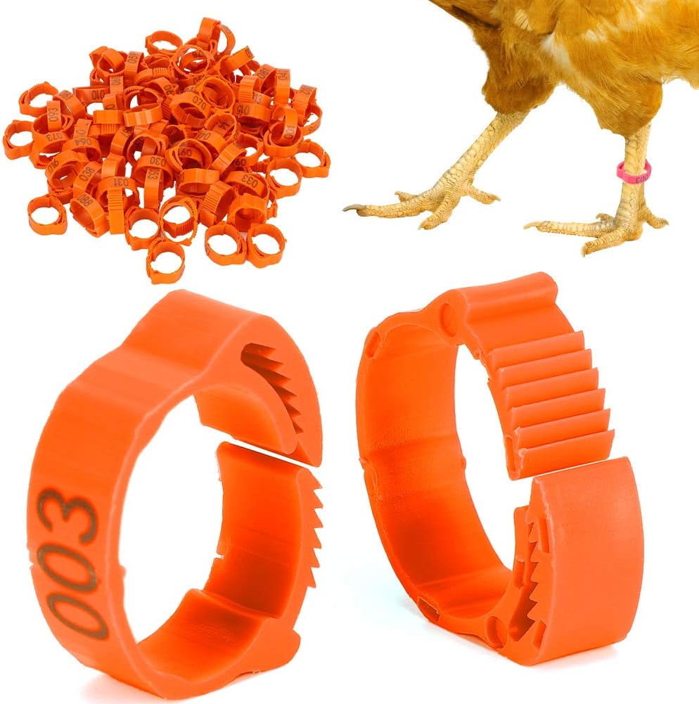 100Pcs Chicken Leg Rings, 20mm-24mm Clip On Poultry Ankle Bands ...
