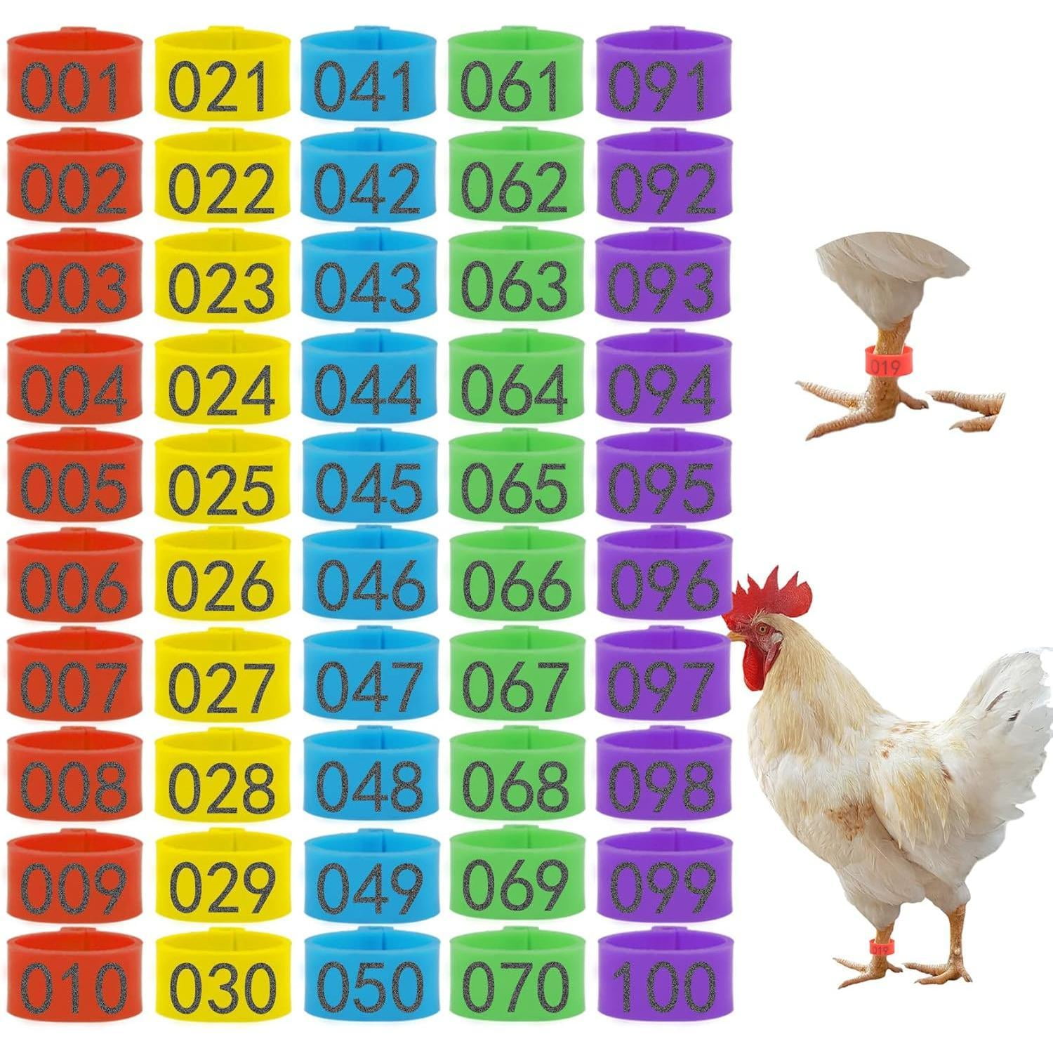 100Pcs Chicken Leg Rings with 5 Color, 16mm Numbered Chicken ...