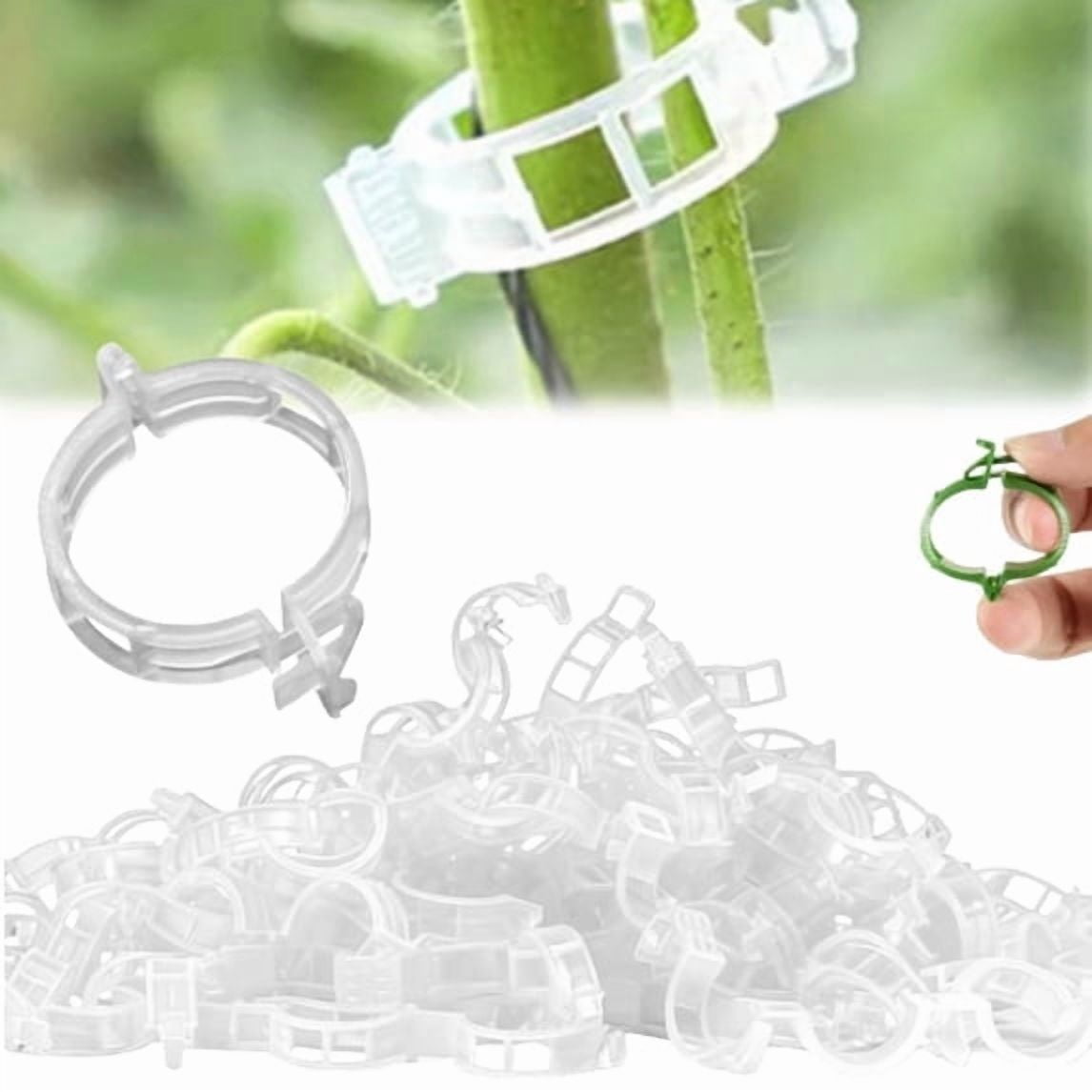 100Pcs Clear Plant Support Clips, Plastic Vine Fixing Clips for Tomato ...