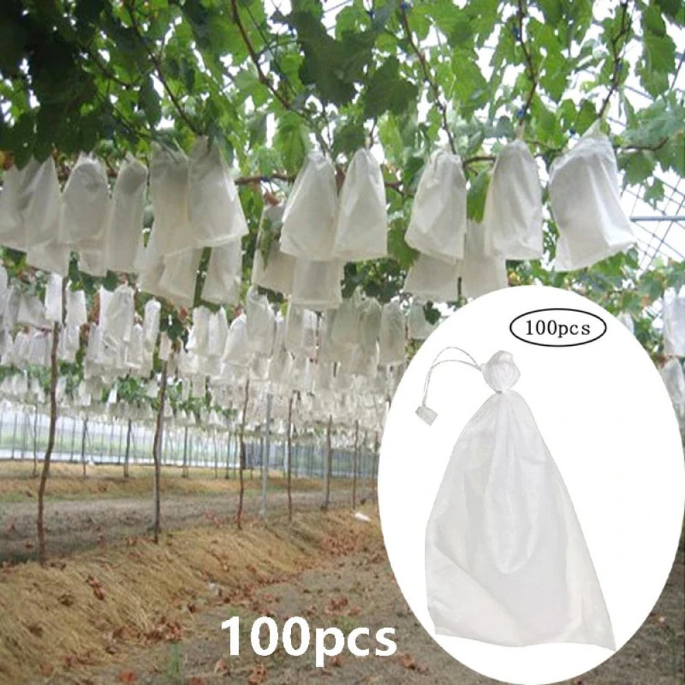 100Pcs Garden Strawberry Grapes Fruit Protection Bags Cover Plant ...