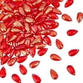 100Pcs Lampwork Charms with Glitter Powder Teardrop Red 14x8x5.5mm Hole ...