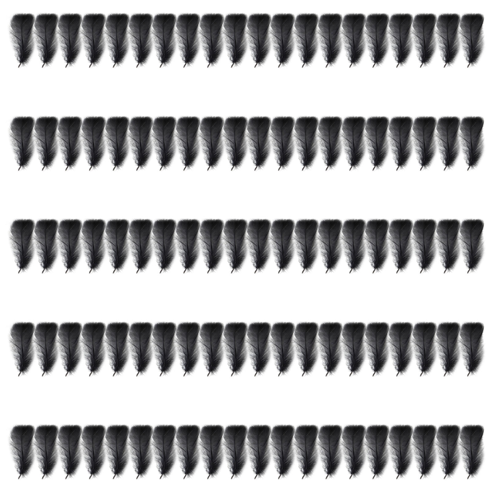 100Pcs Natural Craft Wing Natural Black Wing Decoration for Dream ...
