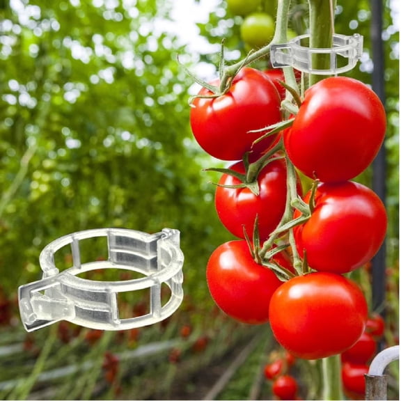 Shop Durable Garden & Indoor Plant Support Clips for Easy Support