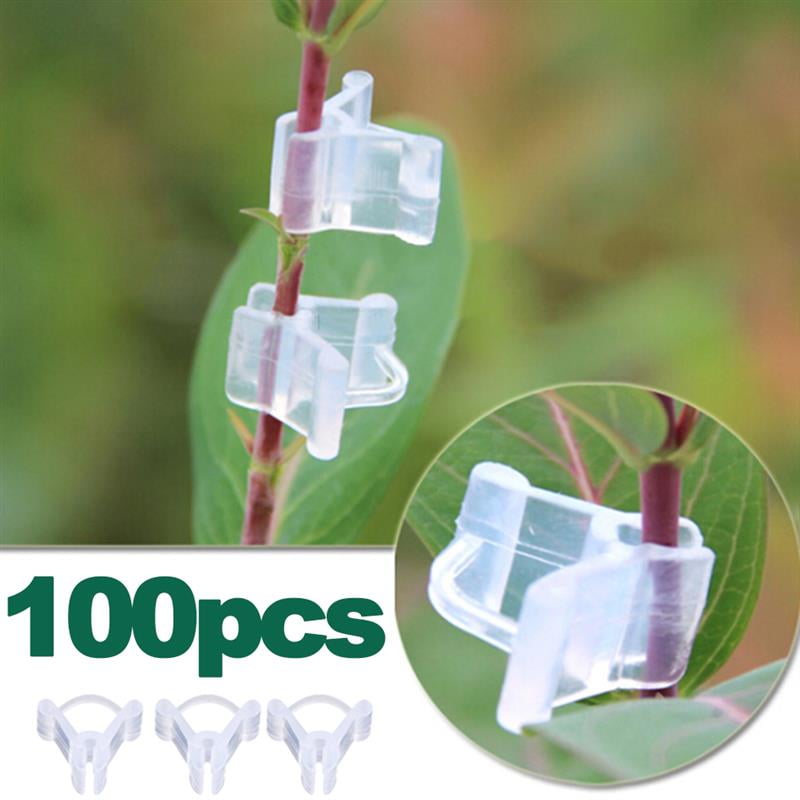 100Pcs Plastic Plant Grafting Clips Mini Transparent Tomato Plant ...