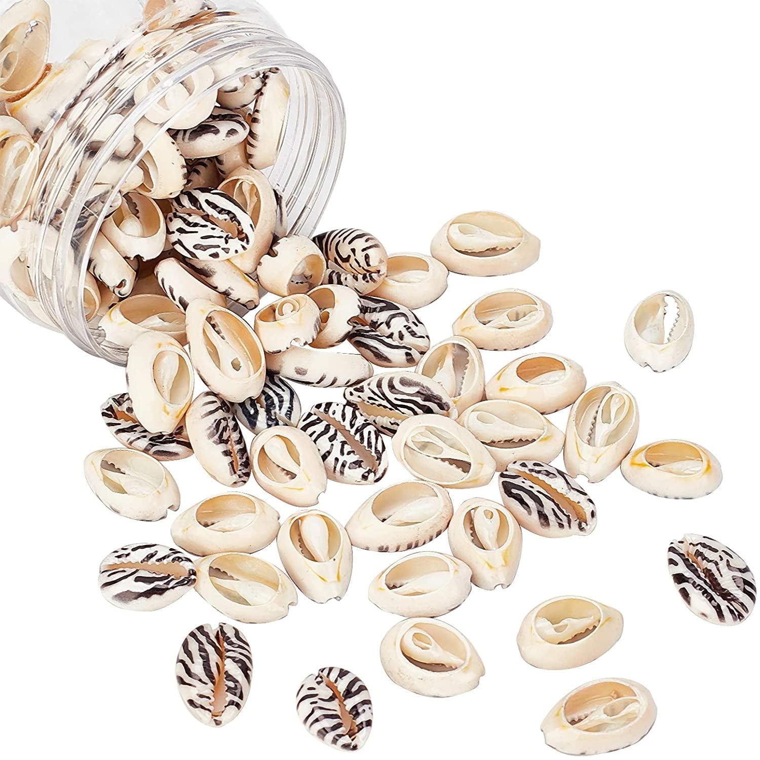 100Pcs Tiny Cowrie Sea Shells Zebra-Stripe Pattern Oval Seashells Craft ...