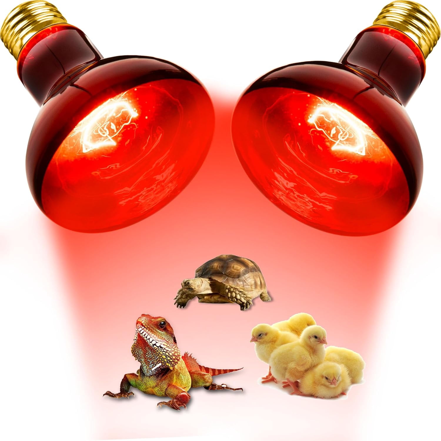 100W Reptile RED Heat Lamp Bulbs, Reptile & Amphibian Basking Spot ...
