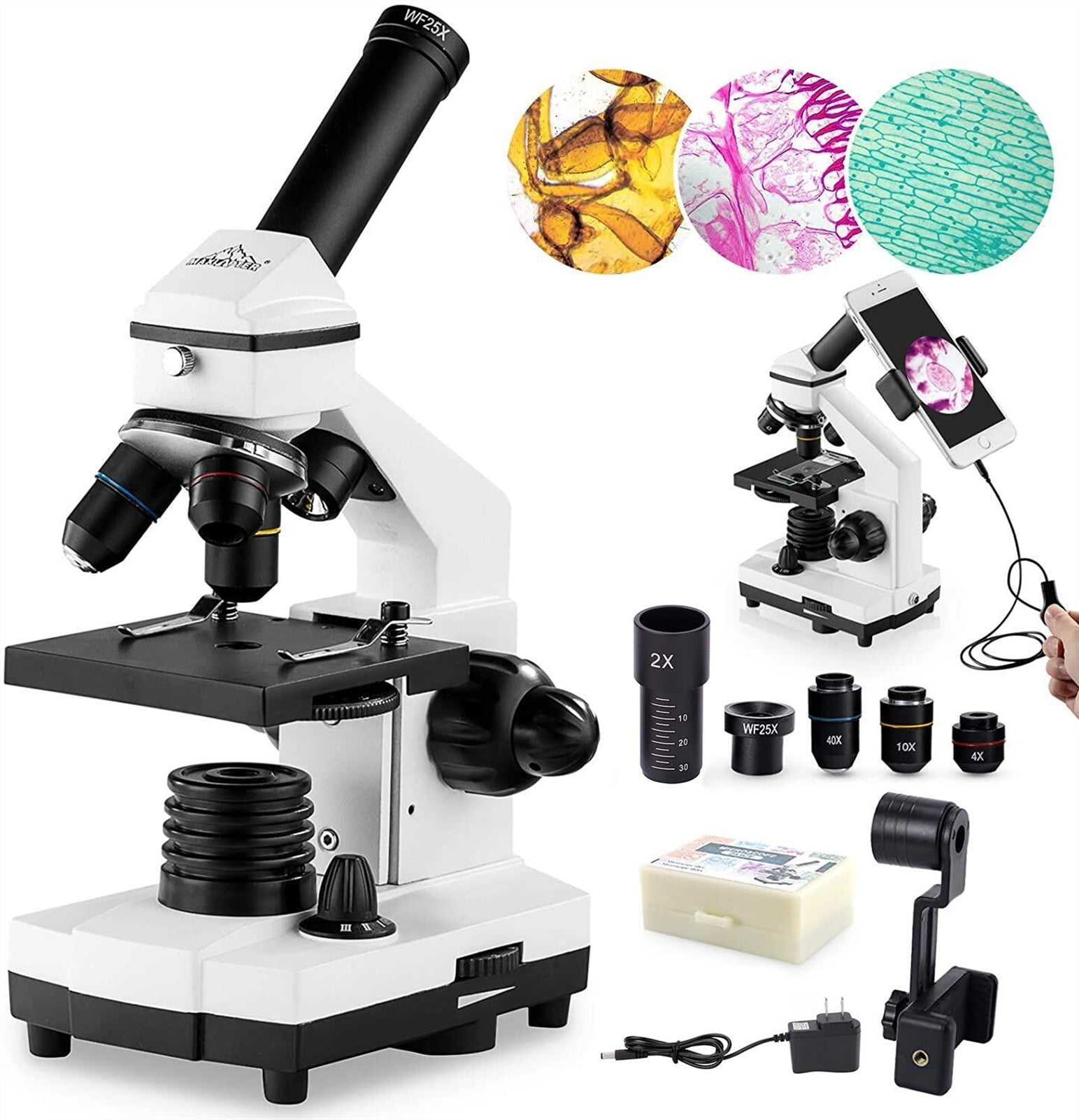 100X-2000X Microscope Slides Set Biological Microscopes For School ...