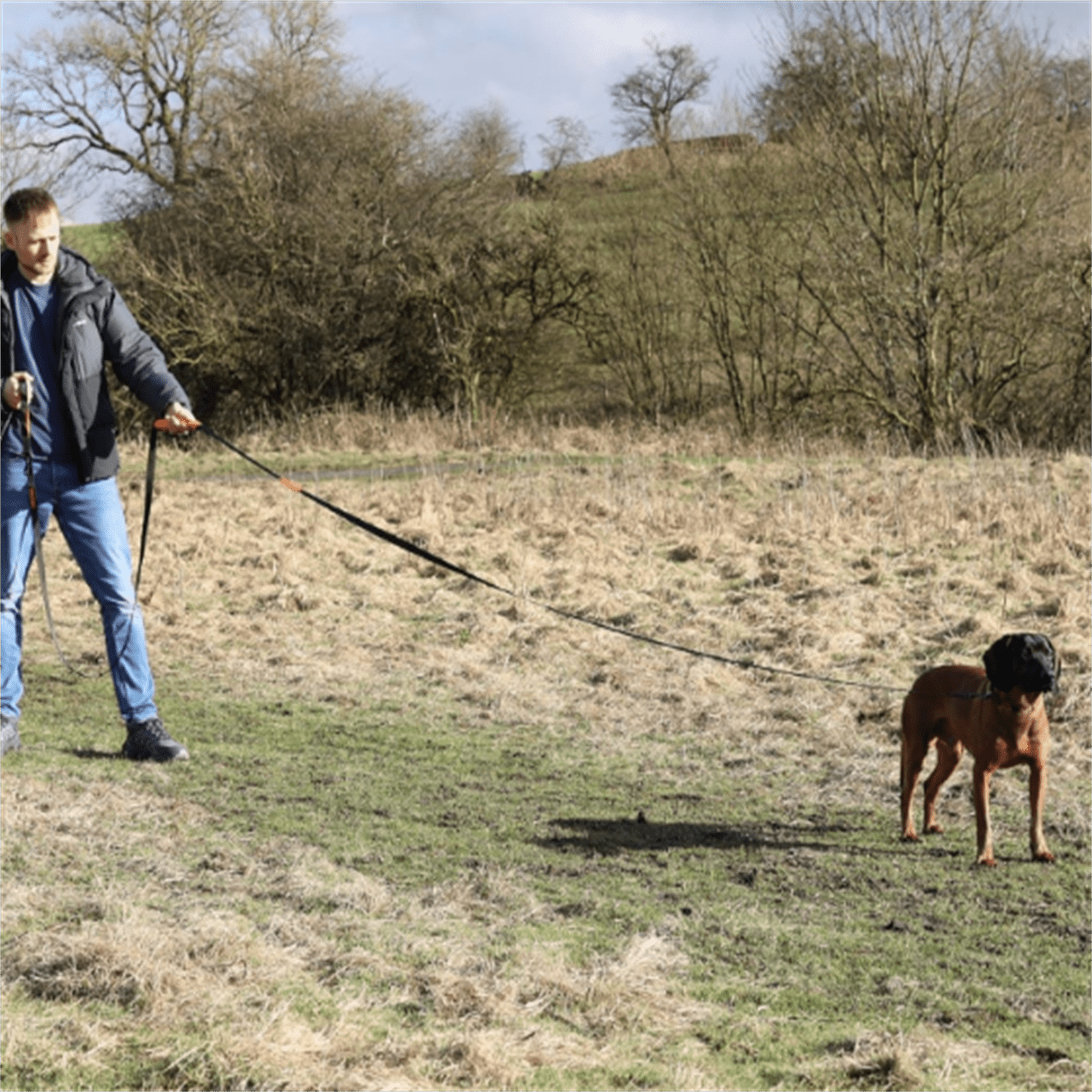 100ft Long Leash for Dogs - Long Line Dog Leash for Training Recall ...