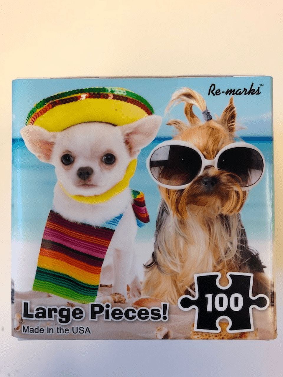 Brand 100pc Fun In Sun Jigsaw Puzzle Assortment - Walmart.com