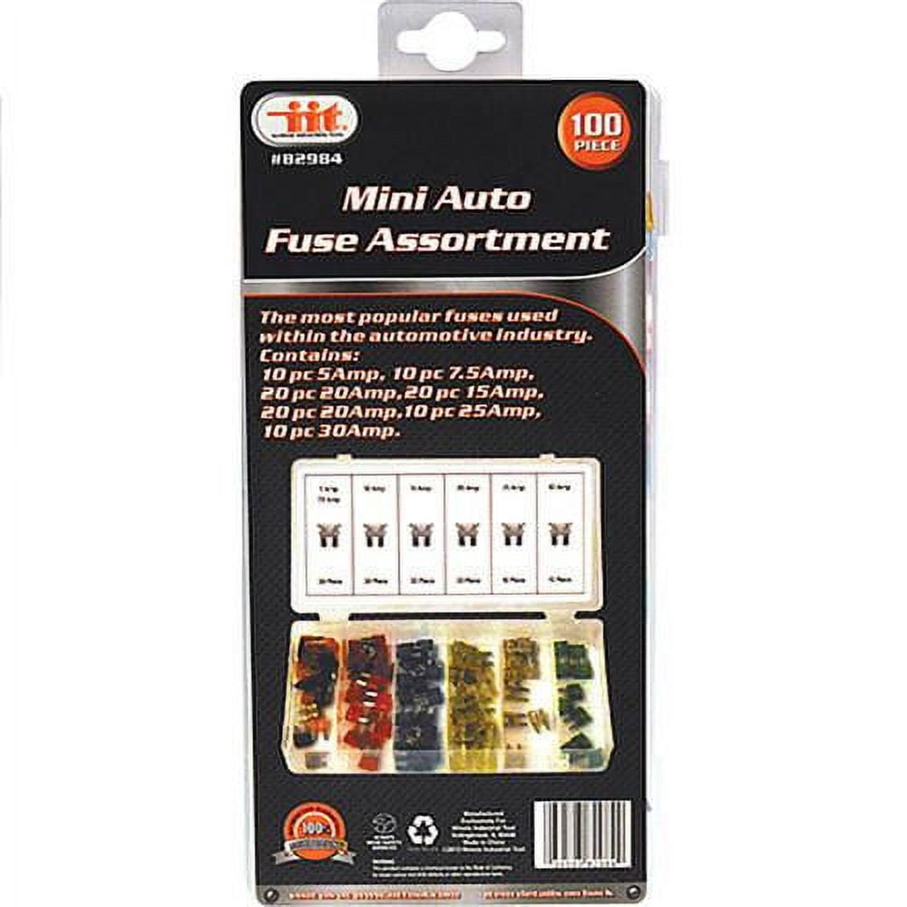 100pc IIT Mini Auto Fuses Assortment Kit 5 to 25 AMP Sizes in Organizer ...